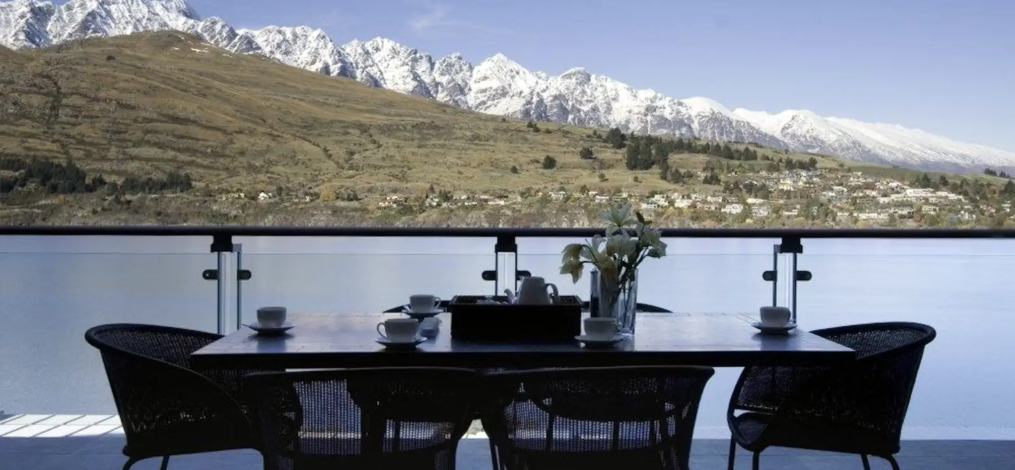 The Rees - Snow Machine NZ